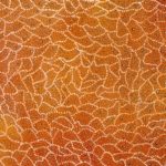 Yamaji Art | Midwest WA Aboriginal Art Centre Geraldton